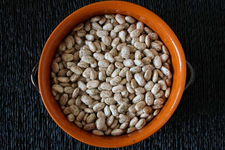 A Beginner's Guide to Pulses - The Pesky Vegan (Beans, Peas, Lentils)