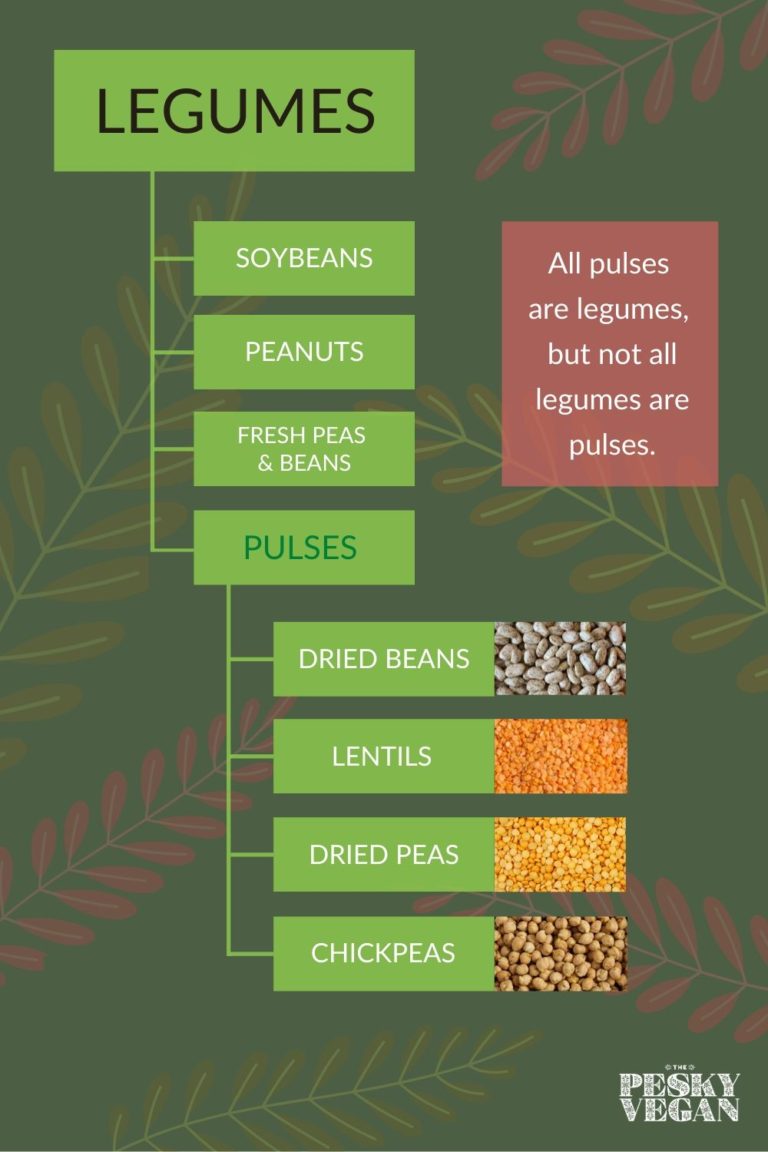 A Beginner's Guide to Pulses - The Pesky Vegan (Beans, Peas, Lentils)