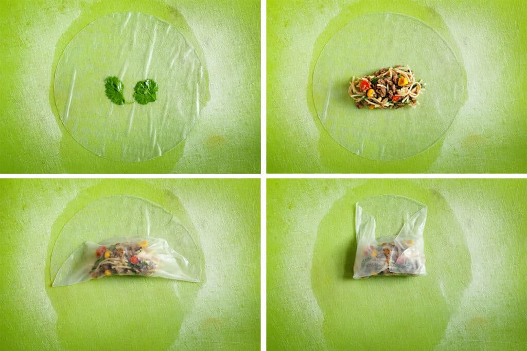 Vegan Rice Paper Rolls (Vietnamese Spring Rolls) - The Pesky Vegan